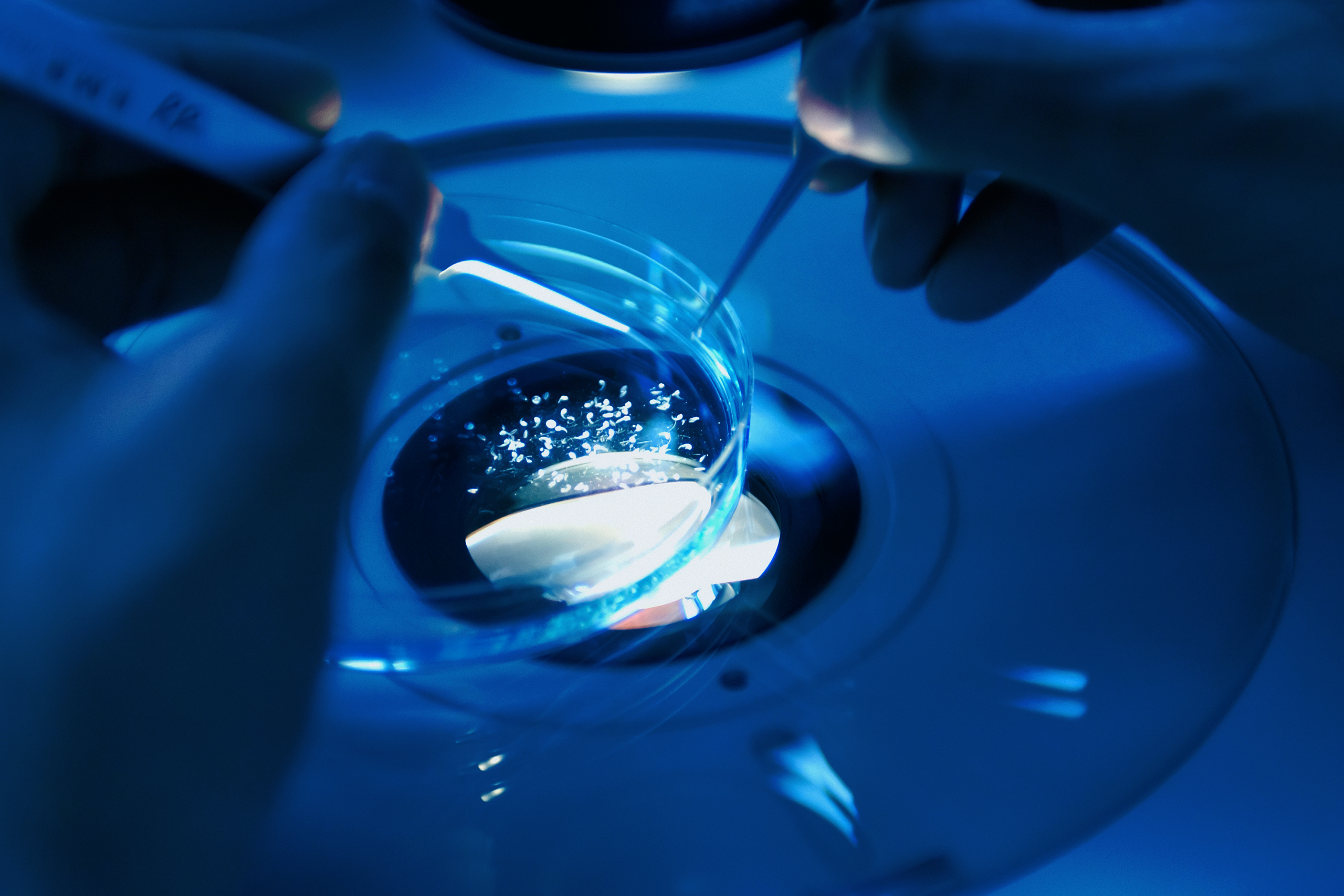 Accuscience – IVD, Scientific & Med-Tech